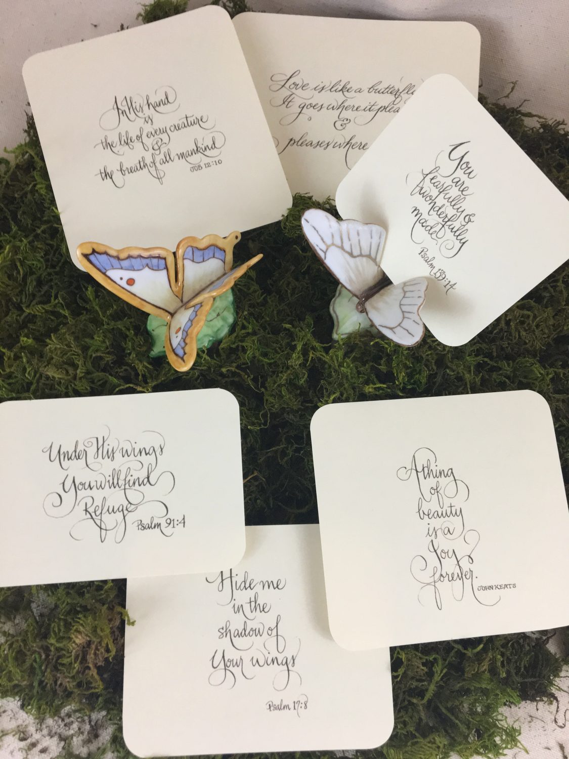 Calligraphy – The Peggy Williams Collection