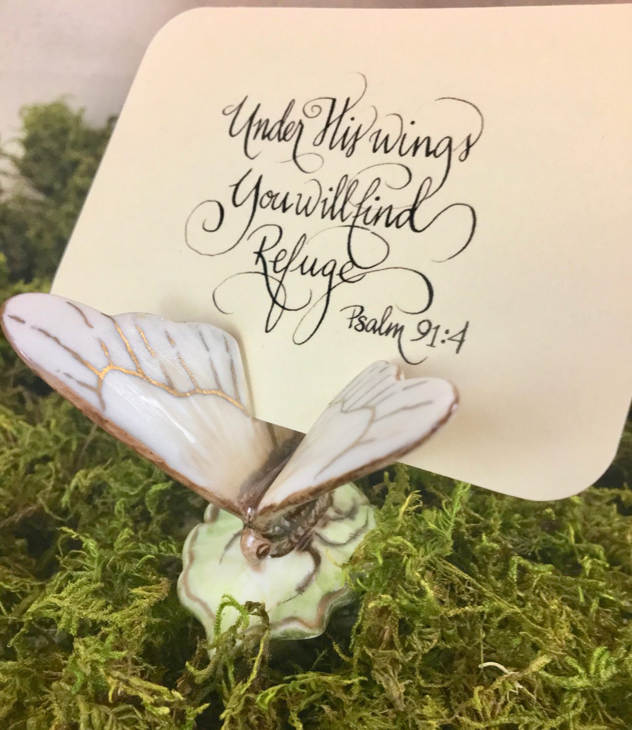 Calligraphy – The Peggy Williams Collection